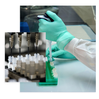 Drish Infotech: Leading Software Product Development Company